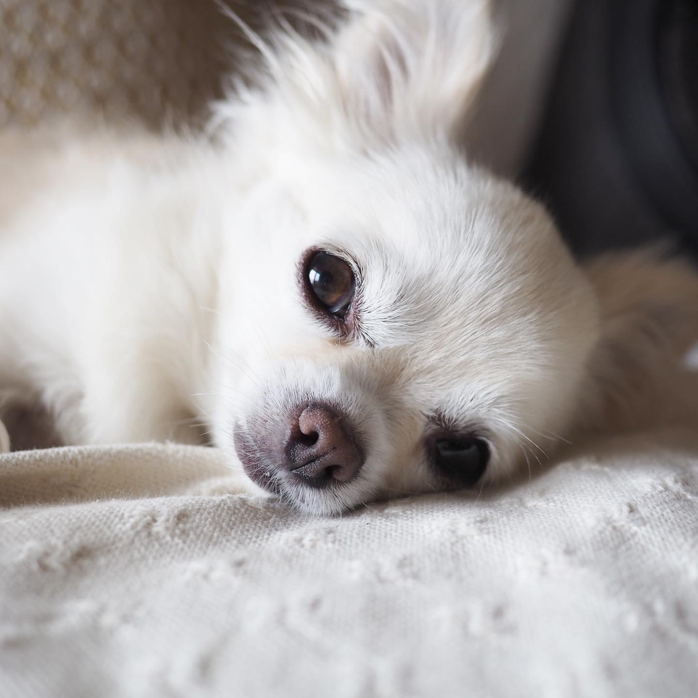 Instagram 2022.7.22 – atelier chigu